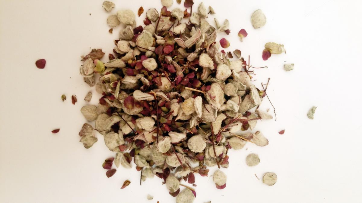 Dictame de Crète (Origanum dictamnus): L’herbe divin de Crète